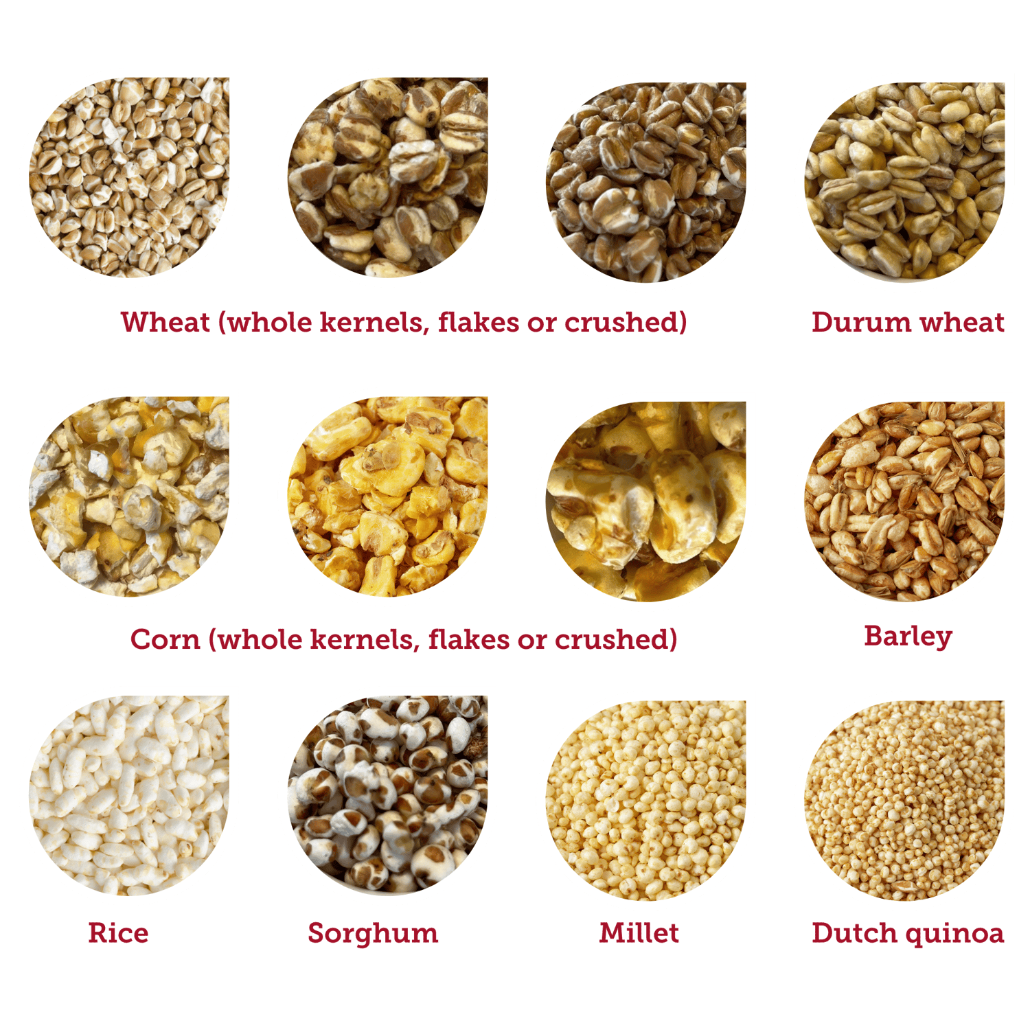 Puffed grain for petfood
